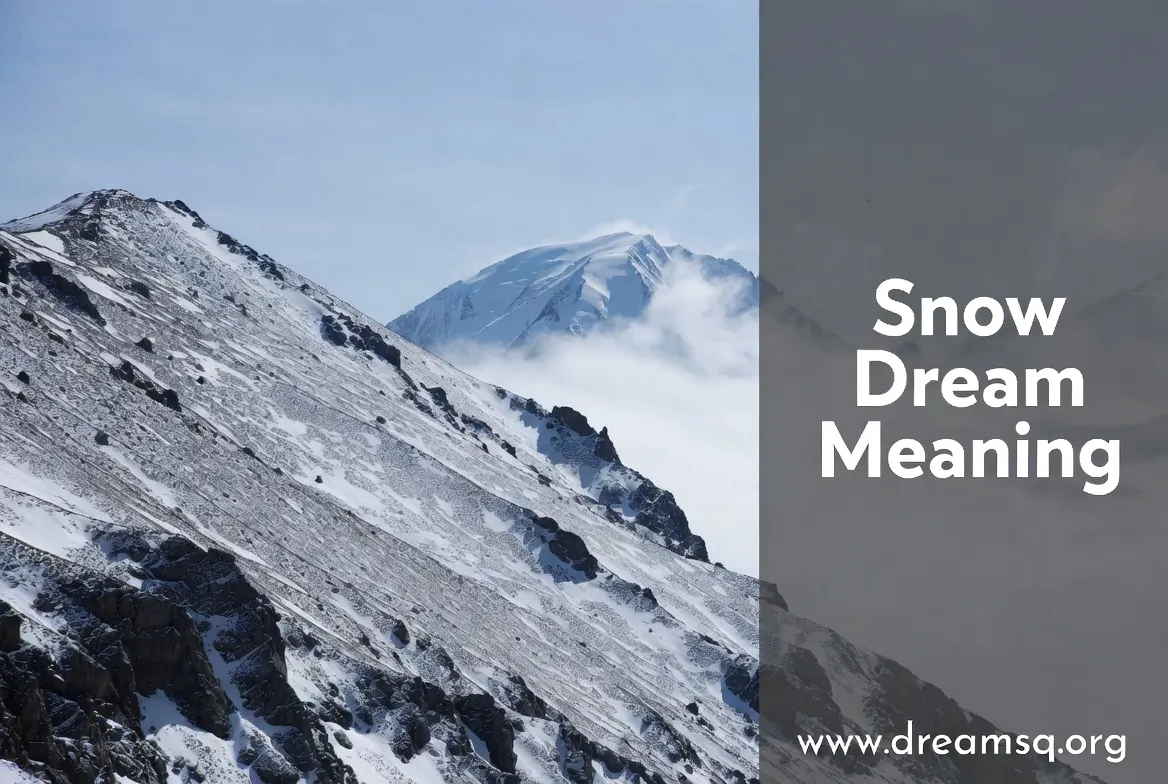 Seeing Snow in a Dream – Snow Dream Meaning – Dream Interpretations ...